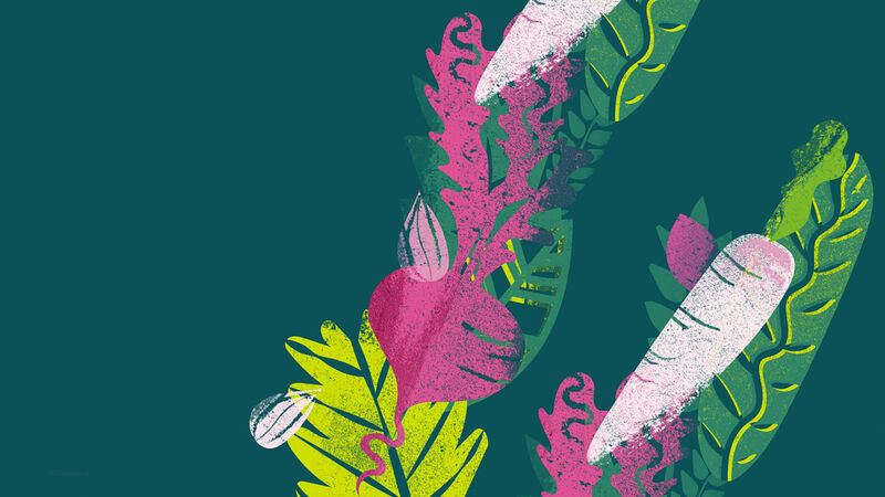 Heck | Sausages you can swear by | Born Ugly